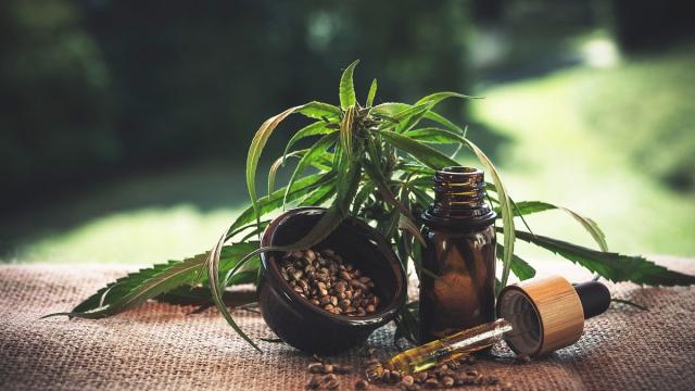 CBD for Chronic Conditions: What We Know So Far