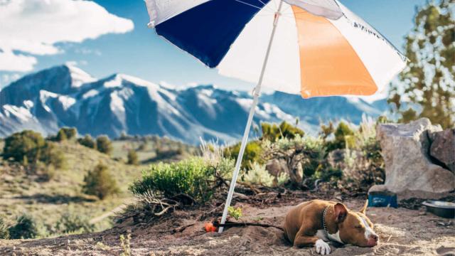 MS Hot Topic: 5 Tips for Dealing with Uhthoff’s Phenomenon